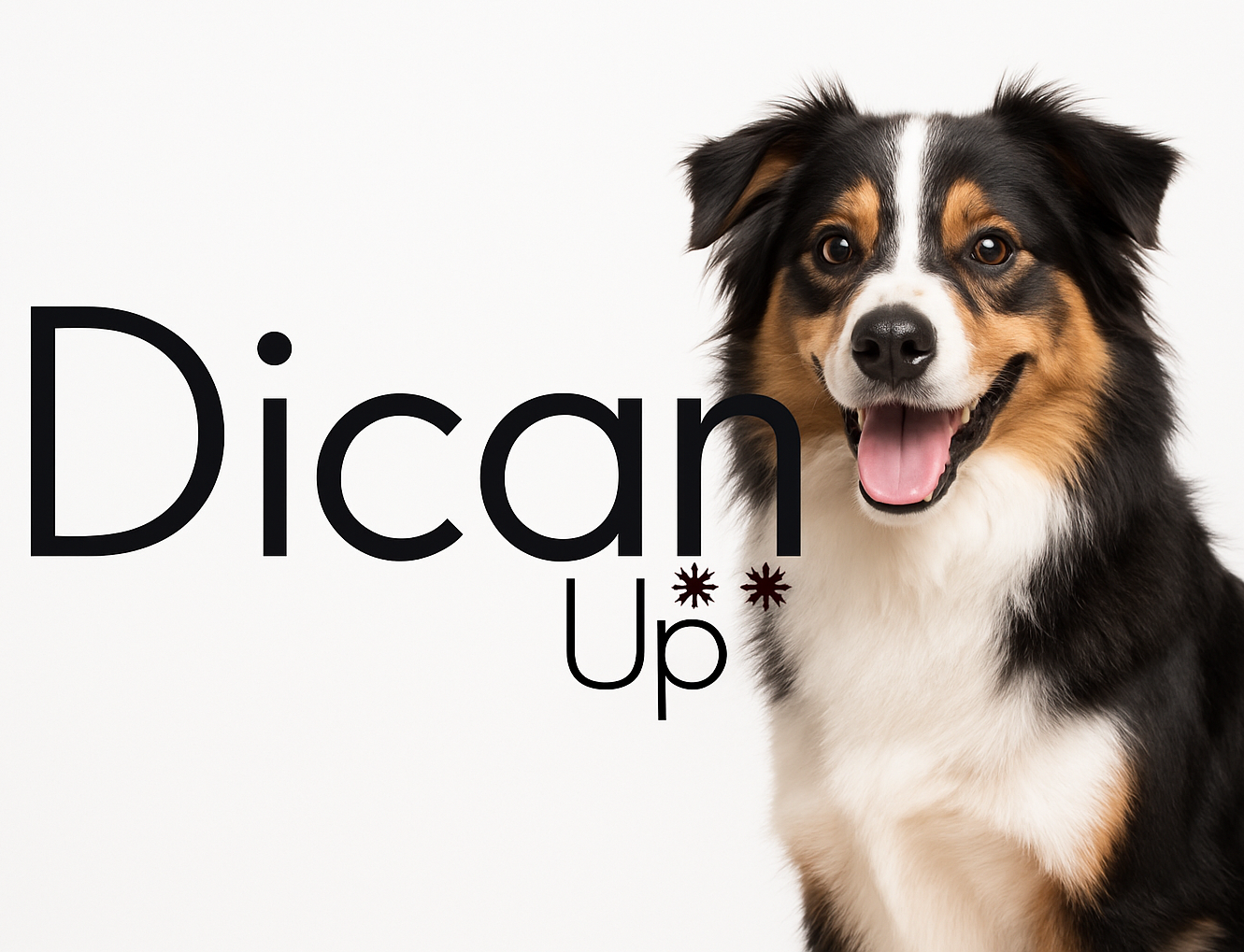 Dican Up – DogRius